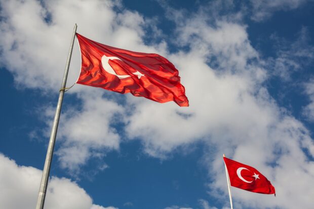 Complete Guide to Turkish Government Grants & Seamless Setup